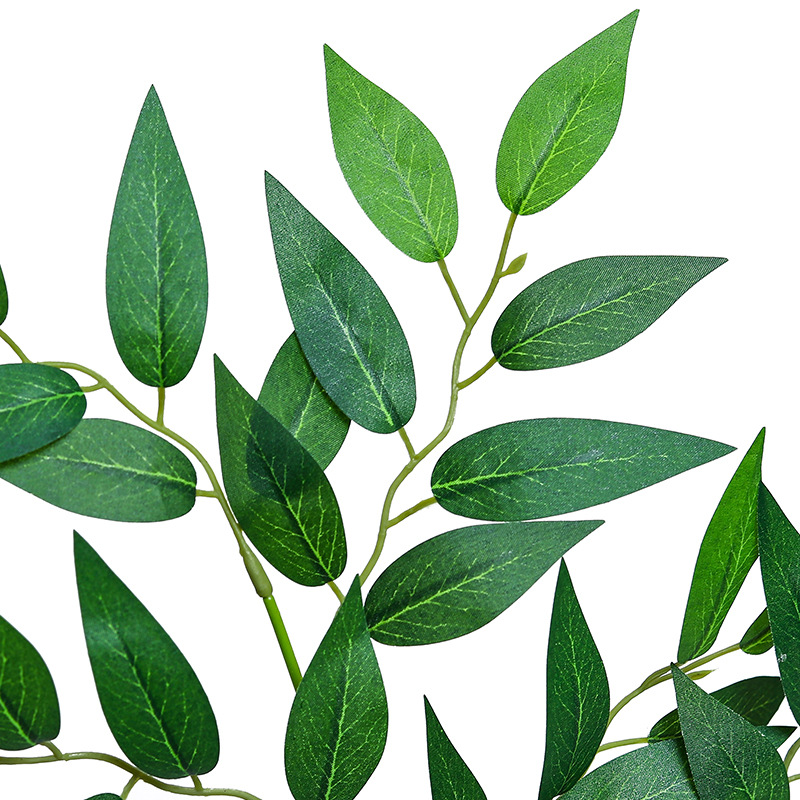 Simulation date palm leaves single spring Mori Eucalyptus bean flower ...