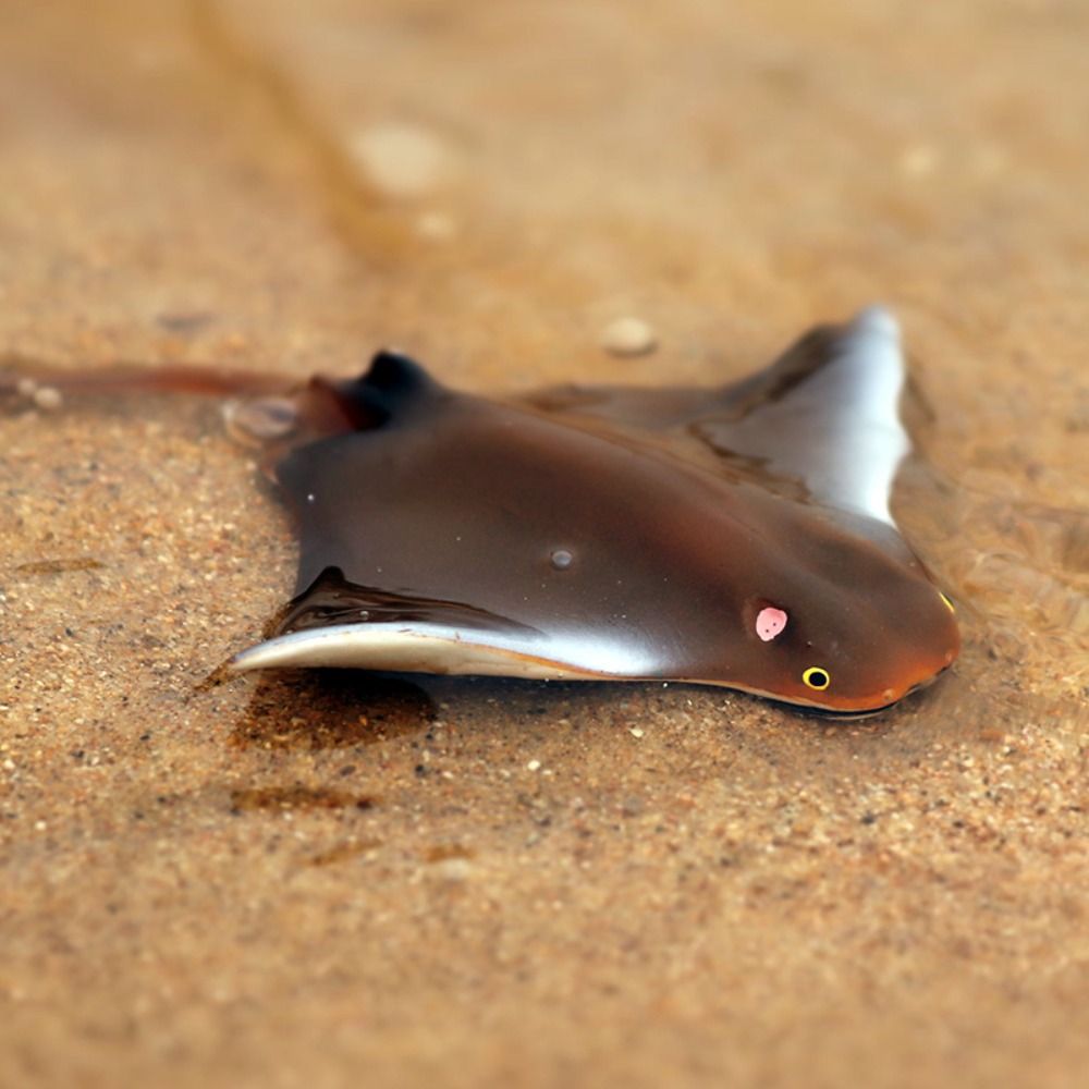 Children Gift Simulation Manta Ray Model Miniature Fish Model Ocean ...
