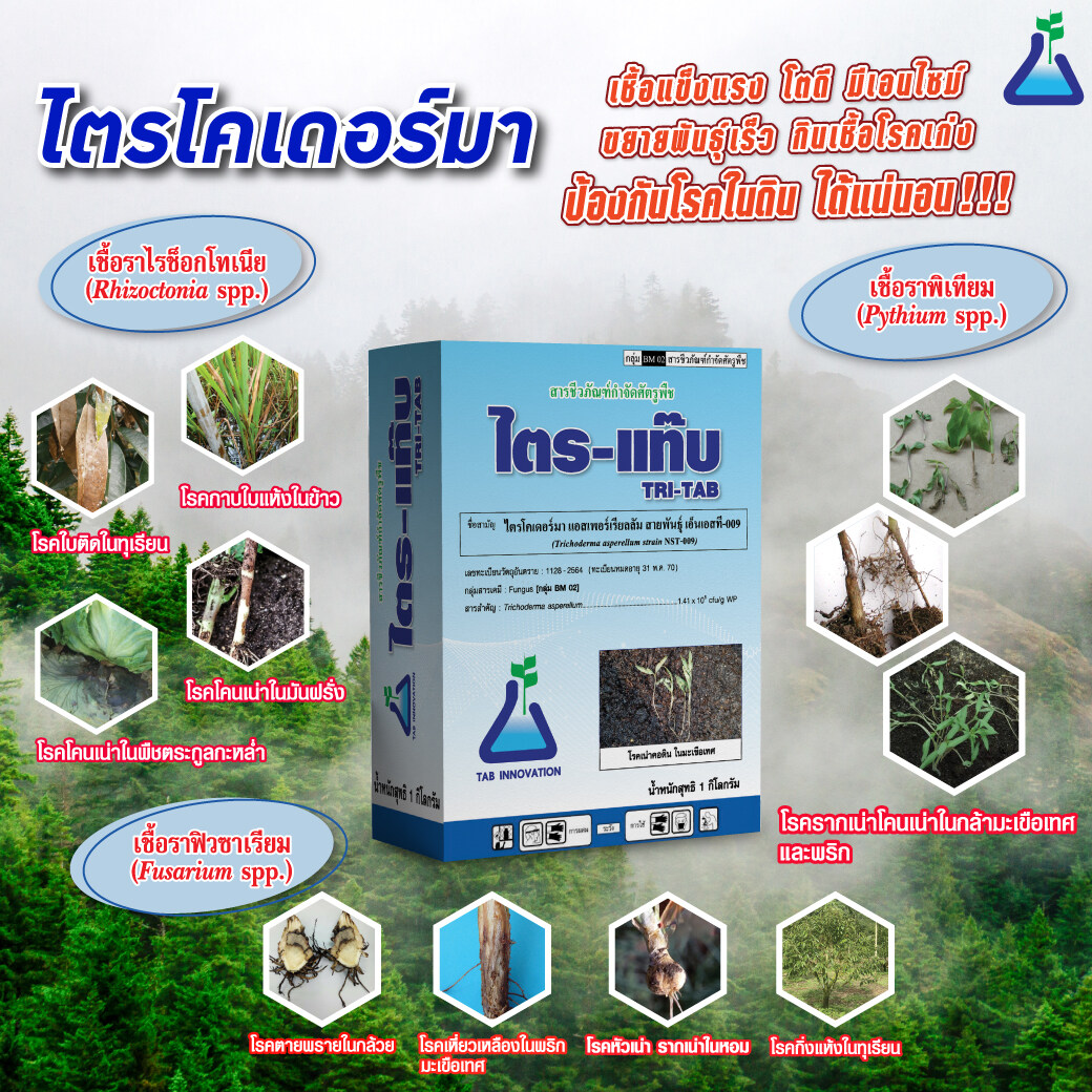 ไตร-แท๊บ ไตรโคเดอร์มา แอสเพอร์เรียลลั่ม ขนาด 1 กิโลกรัม ชีวภัณฑ์กำจัด ...