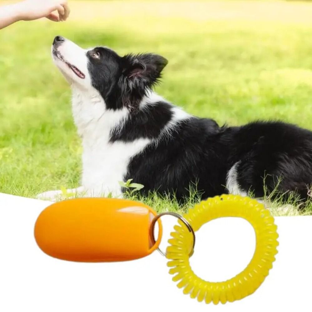 Dog Training Tools Plastic Pet Tranining Clicker Portable Dog Whistle ...