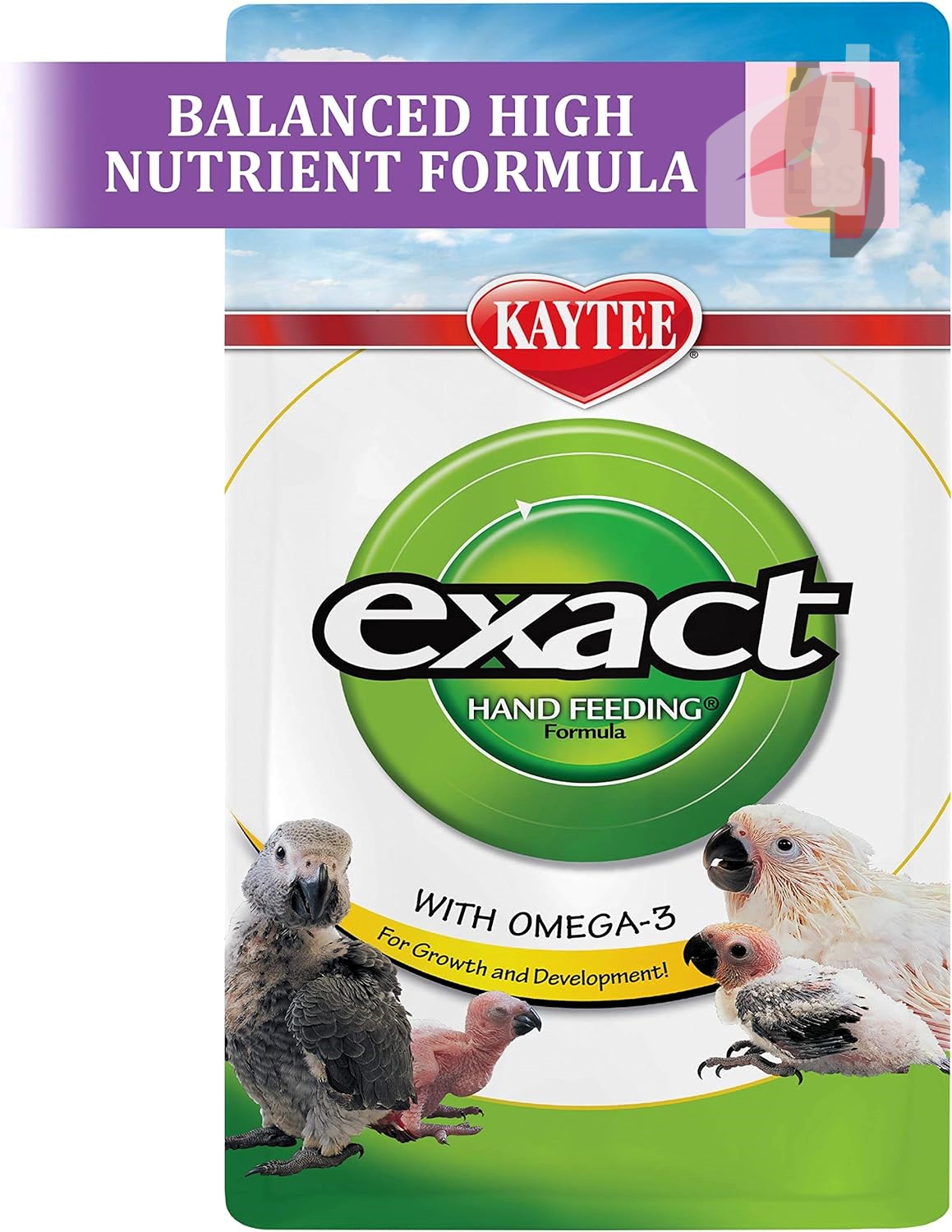 Kaytee Exact Hand Feeding Pet Bird Baby Food For Parrots, Parakeets ...