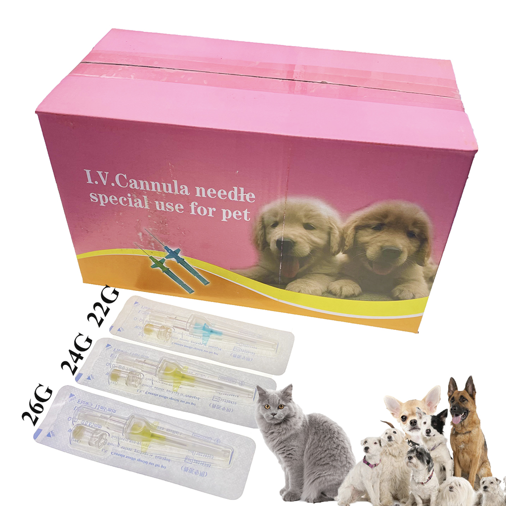 Cat Dog Animals IV Cannulas With Heparin Cap Introcan Winged Place An ...
