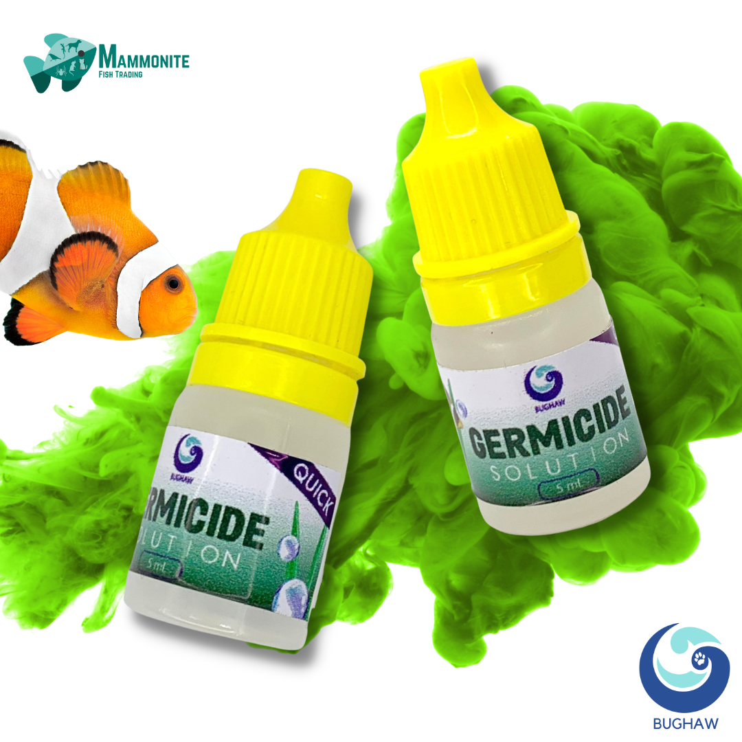 BUGHAW Quick Germicide Solution Fish Medicine 5mL | Lazada PH
