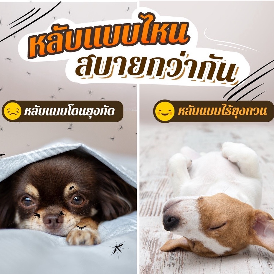 มีแลกซื้อ ราคาพิเศษ KAYOKE สเปรย์ไล่ยุง สูตรอ่อนโยน สำหรับสัตว์เลี้ยง ...