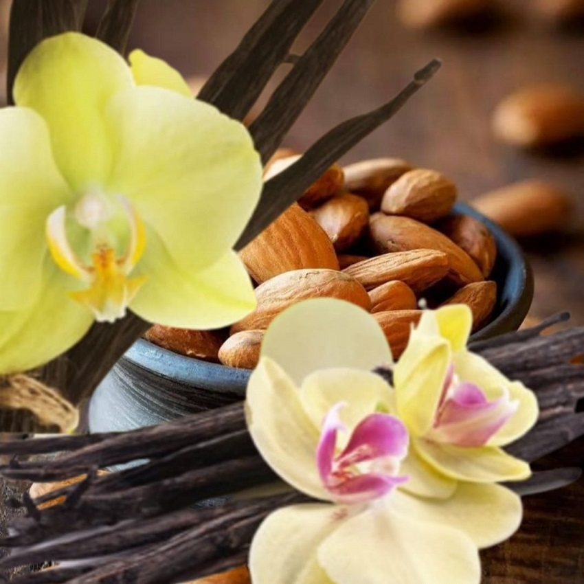 Castile Liquid Soap Extra Virgin Olive Oil 100% สบู่เหลวน้ำมันมะกอกบริสุทธิ์ 100% ขนาด 1,000ml ...