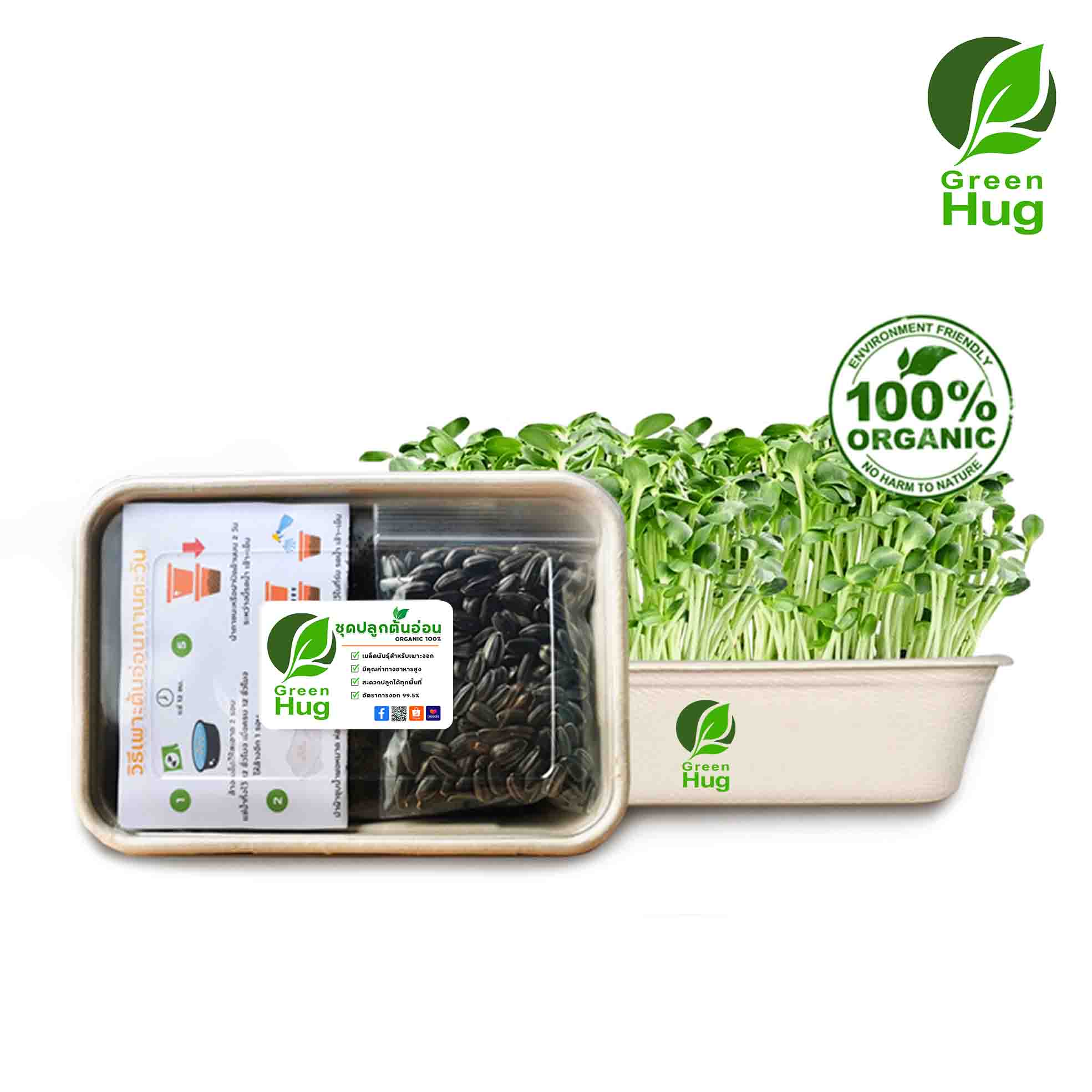 ชุดปลูกต้นอ่อนทานตะวัน - Organic 100% ( Sunflower Sprout Kit - Organic ...