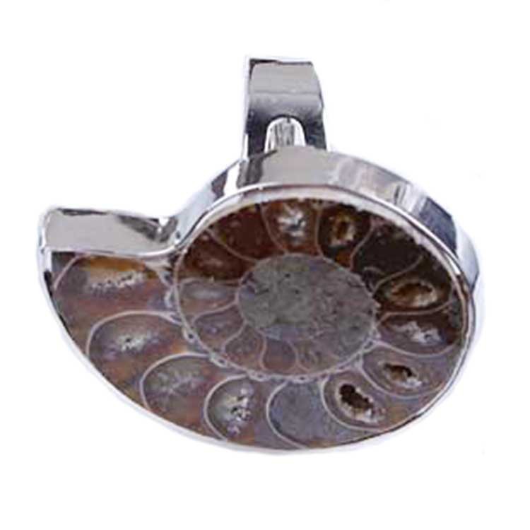 【Quality certifications】Natural Stone Snail Men's Women's Fashion ...