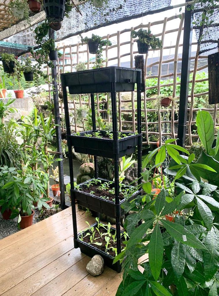 Hybrid Vertical Gardening System, Soil base planting System & Wick ...