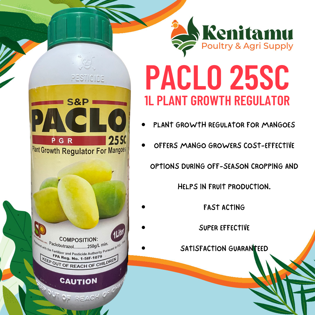 PACLO 25SC 1L PLANT GROWTH REGULATOR FOR MANGO | Lazada PH