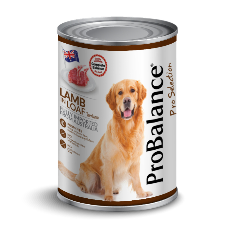 ProBalance Makanan Anjing Basah Kaleng Can 400g | Lazada Indonesia