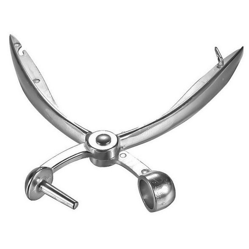 【TrendGlobe】Cherry Nucleus Removal Olive Cherry Red Dates Pitter Go ...