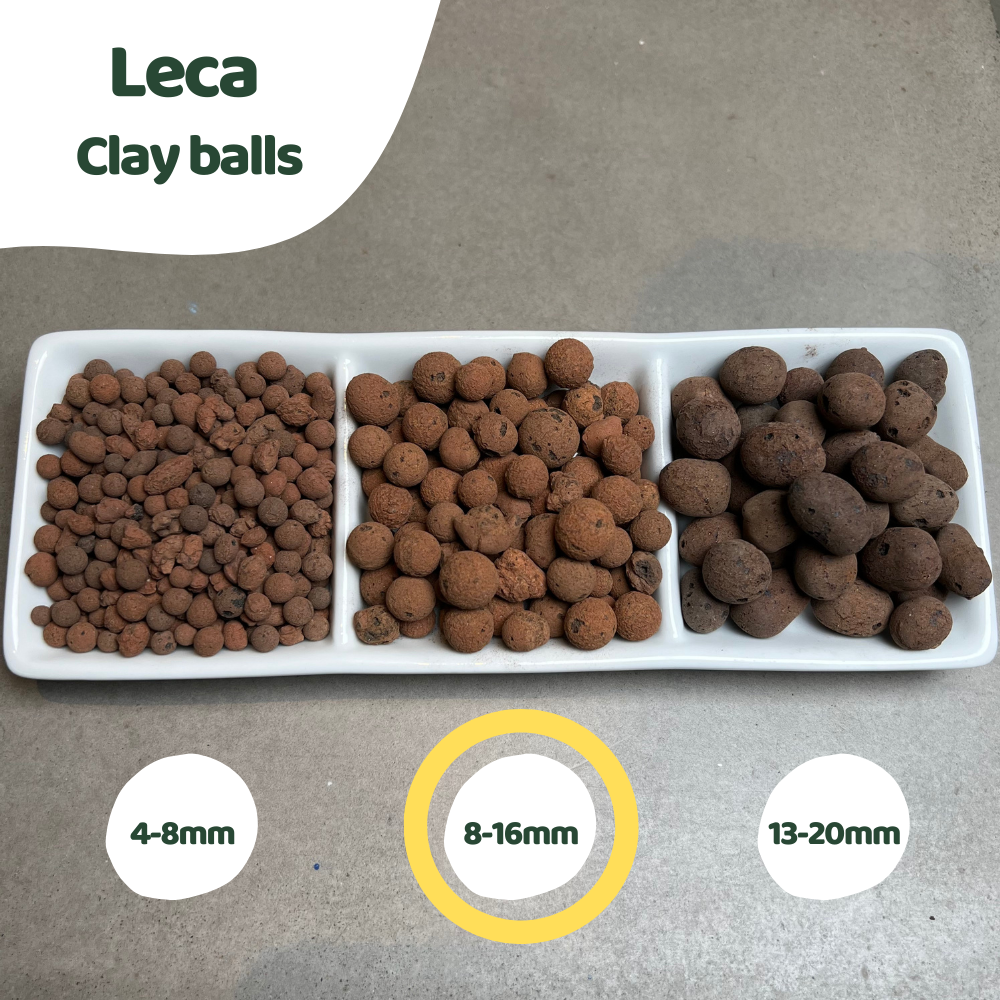 Sprout lab | Premium Heavy Leca Balls 5L (S,M,L) Clay Balls | Lazada ...