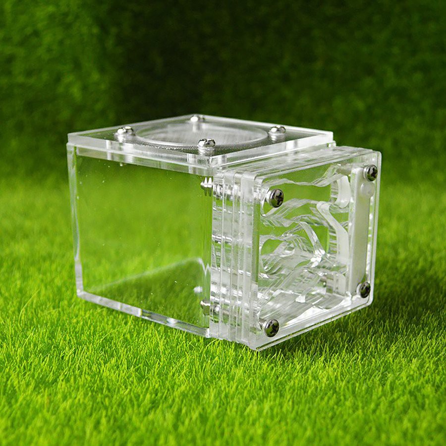 【Versatile】 Mini Ant Nest Anthill Nest Transparent Ant Farm Ants Villa ...