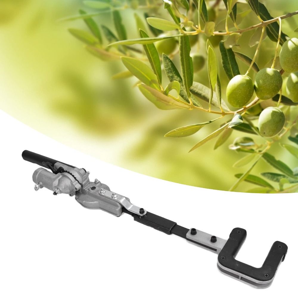 Landscaping Efficient High Branch Hedge Trimmer Extended Tree Pruner ...