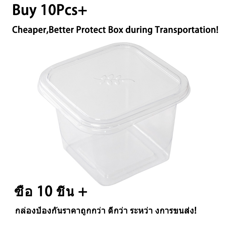 420ML Square Plastic Cupcake Box Mousse Packaging Cake Box Disposable ...