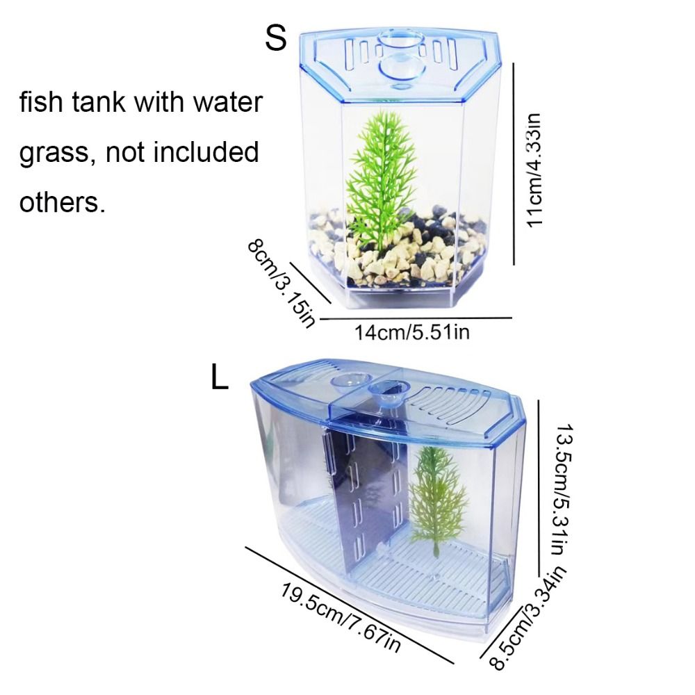 Fish House Transparent Betta Fish Single/Double Grid with Water Grass ...