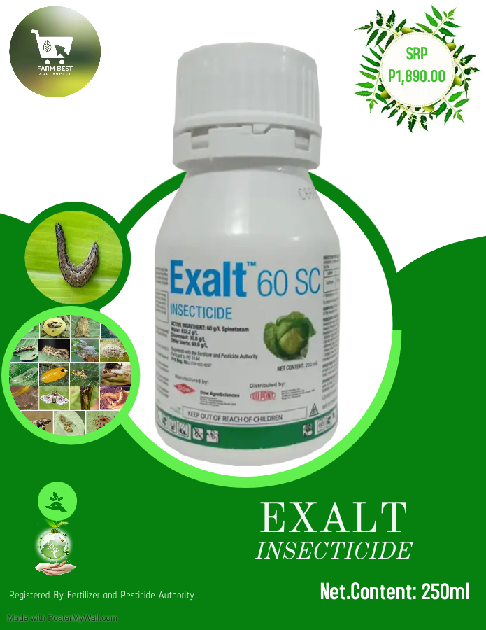 EXALT INSECTICIDE 250ML | Lazada PH