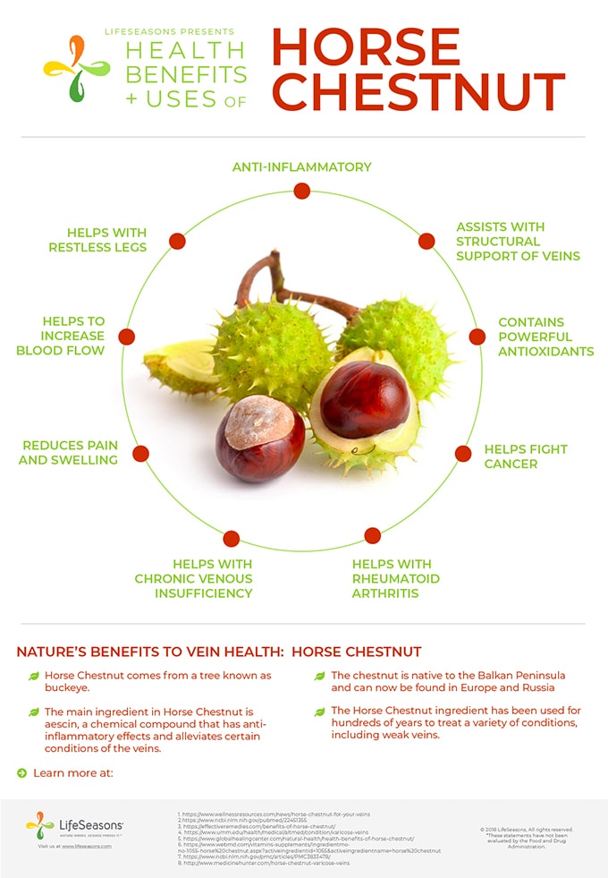 Horse Chestnut Powder 200g | Daraz.pk