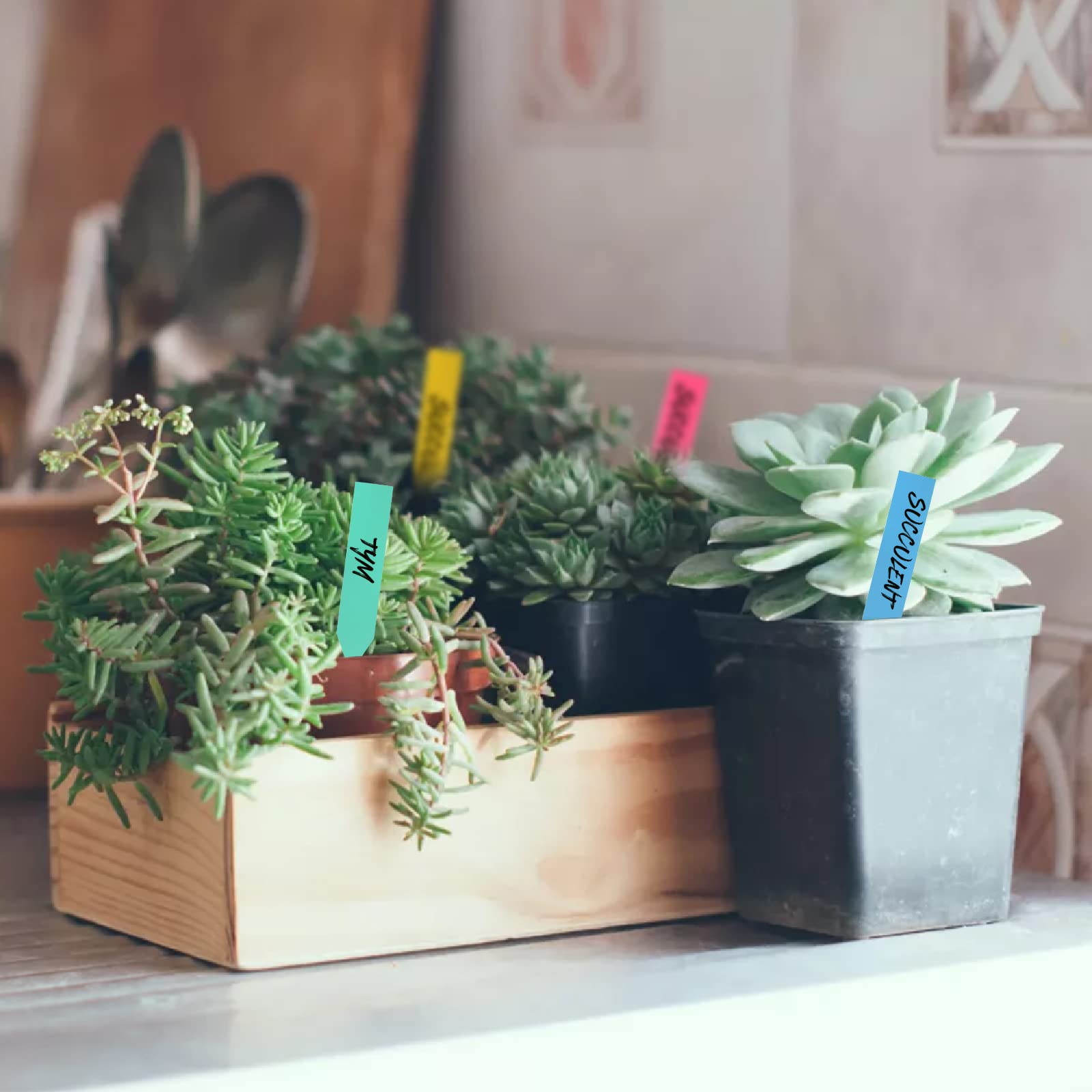 Stake Labels 4 Inch 100Pcs Plastic Nursery Name Tags for Seedlings ...