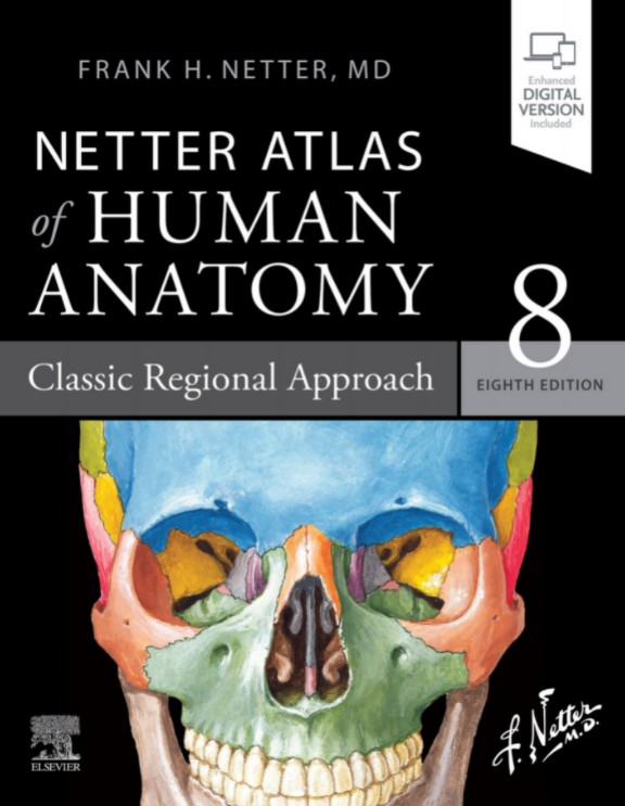 Netter Atlas of Human Anatomy: Classic Regional Approach , 8ed - ISBN ...