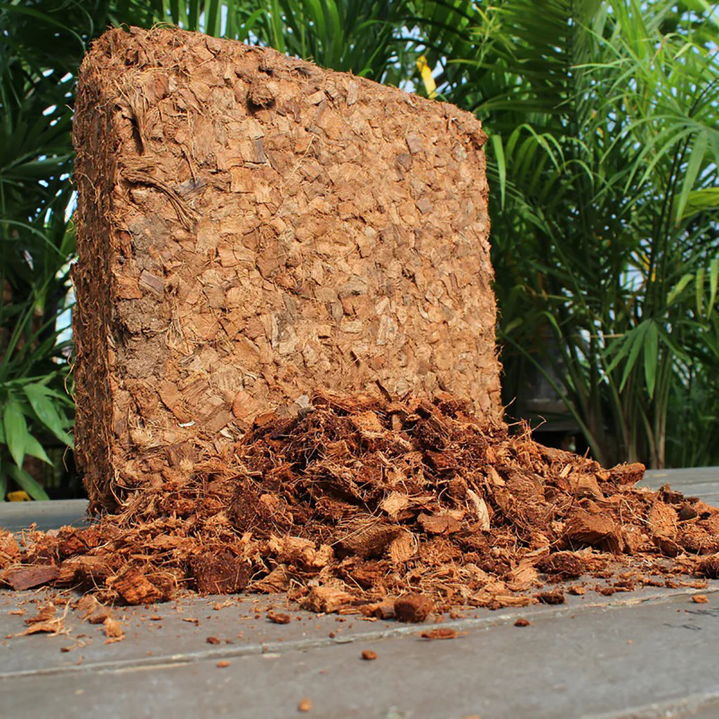 Coconut Husk Chips Block Compressed Cocochips Brick Coconut Substrate ...