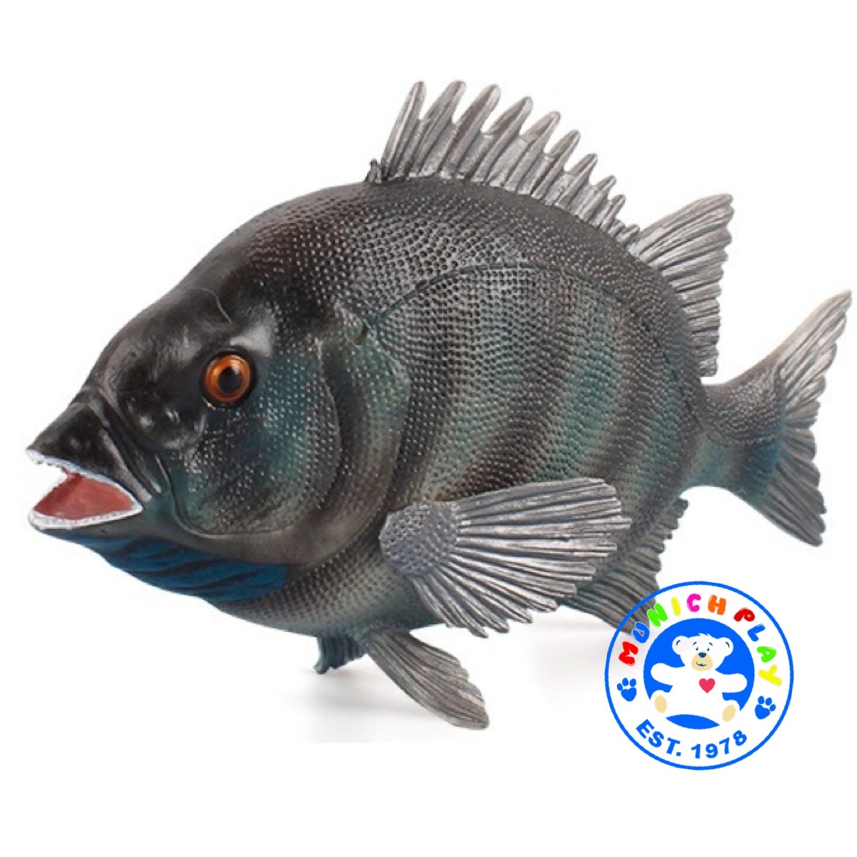 Munich Play - ปลากระพงหิน Snapper Fish ขนาด 17.00 CM (จากหาดใหญ่ ...