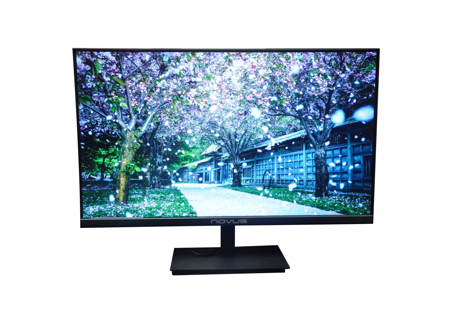 NOVUS 24" IPS PANEL MONITOR 24MPIP | Lazada PH