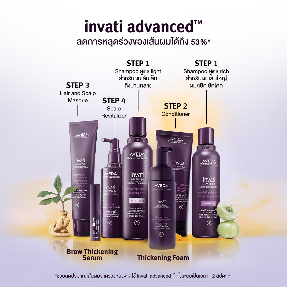 AVEDA invati advanced™ light discovery set เซ็ตลดผมขาดร่วงทั้งระบบ 3 ...