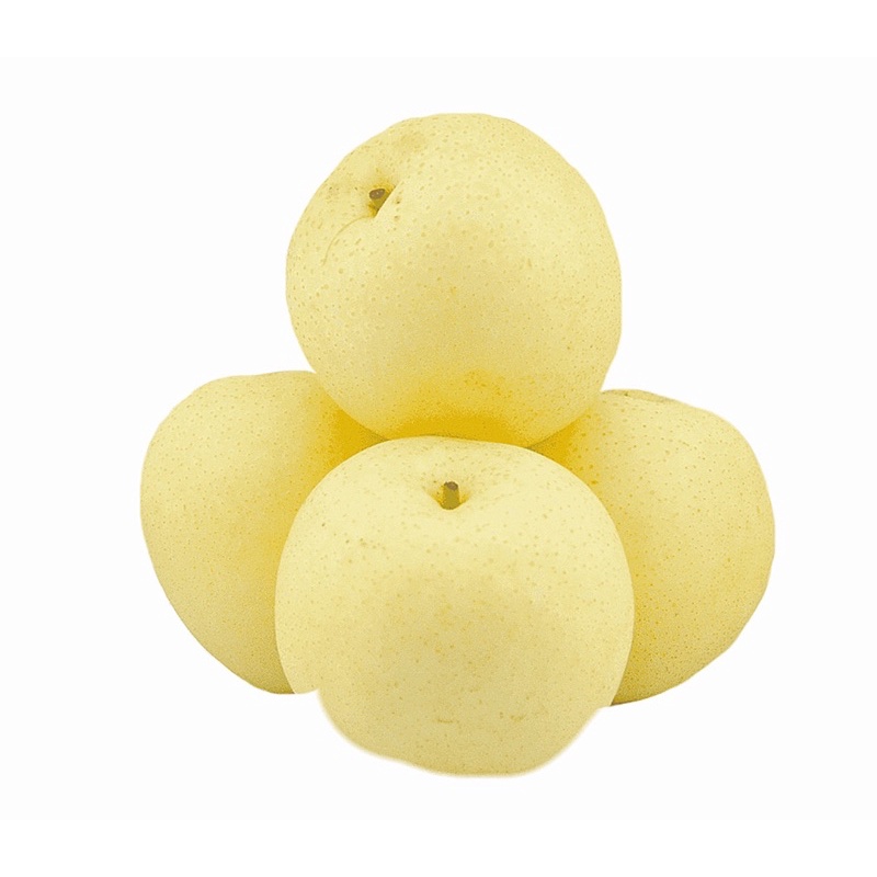 Century Pear 雪梨 3PCS / 5PCS | Lazada