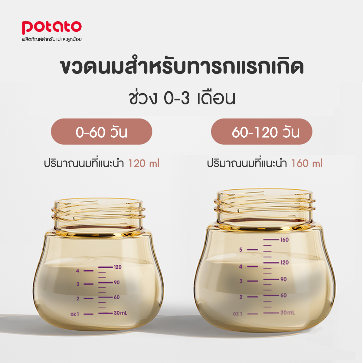 Potato ขวดนมคอกว้างพร้อมจุกนมซิลิโคน วัสดุPPSU ทรงน้องหมีสุดน่ารัก ขนาด 120ml(4oz),160ml(5oz ...