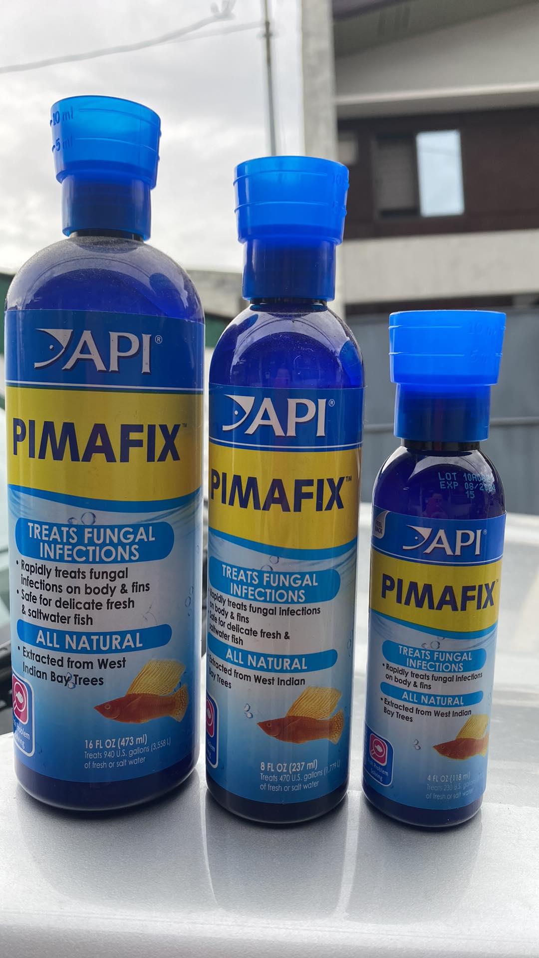 API Pimafix Antifungal Treatment | Lazada PH