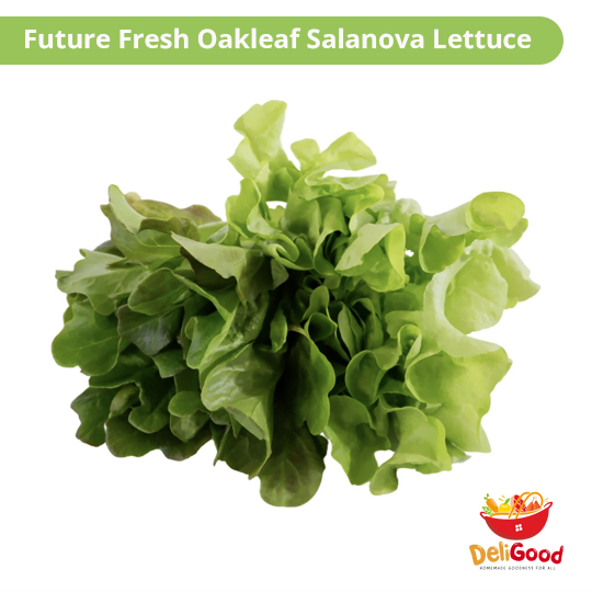 Future Fresh Oakleaf Salanova Lettuce 185g | Lazada PH