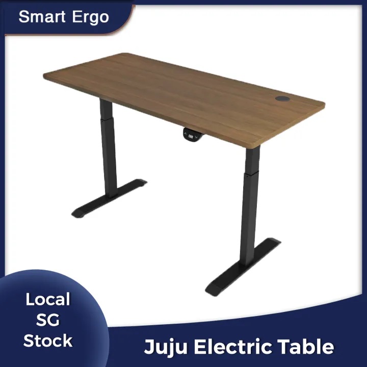 Smart Ergo Electric Height Adjustable Computer Table 100cm 120cm ...
