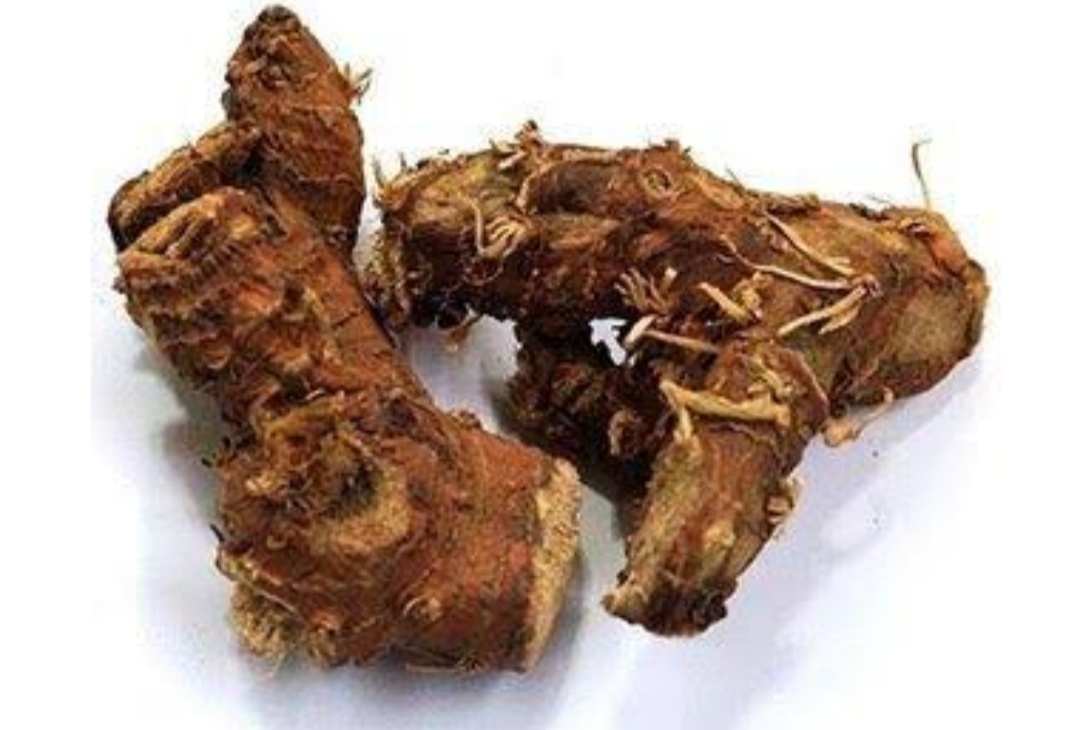 Kulanjan | Pan Ki Jar | Khulanjan | خولنجان | Jarh Pan | 100 gm | Daraz.pk