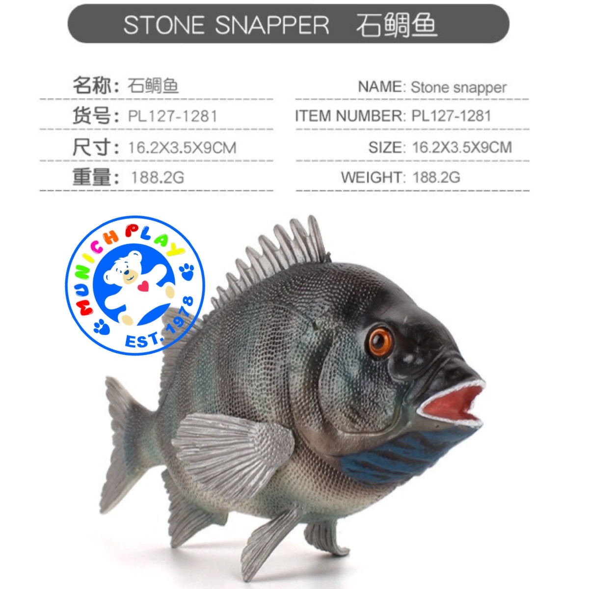 Munich Play - ปลากระพงหิน Snapper Fish ขนาด 17.00 CM (จากหาดใหญ่ ...