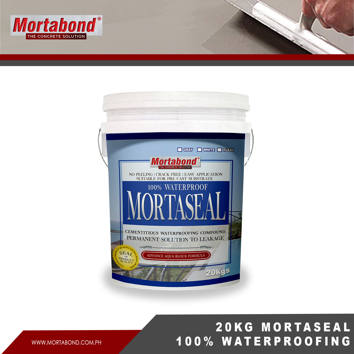 Mortaseal Flexible Cementitious Waterproofing Compound | Lazada PH