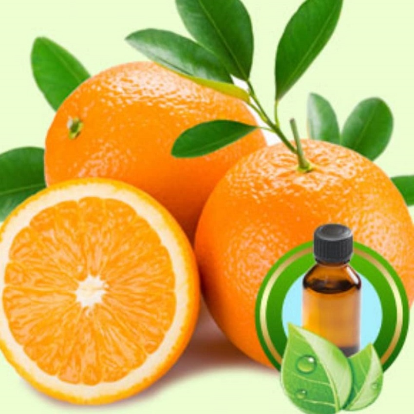 Castile Liquid Soap Extra Virgin Olive Oil 100% สบู่เหลวน้ำมันมะกอกบริสุทธิ์ 100% ขนาด 1,000ml ...