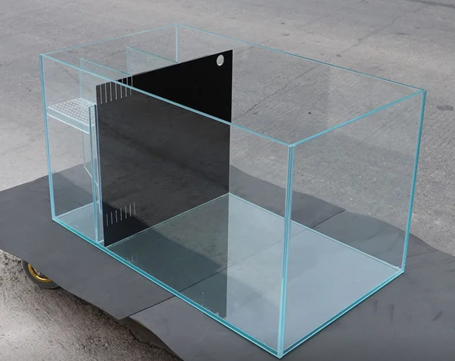 🏆Ultra Clear Glass Braceless Aimless Customization Fish tank MADE TO ...