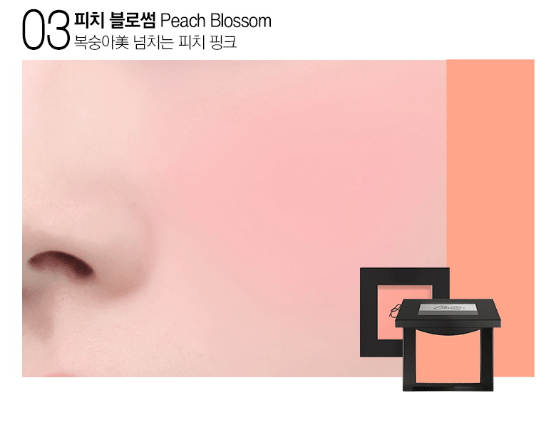 BBIA Last Blush All Color 2.5g | Lazada