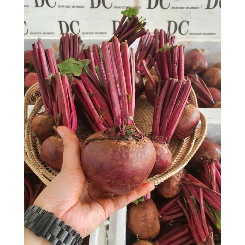 จากฟาร์ม สดใหม่ บีทรูท Beetroot 1 กิโล ราคาถูก ราคาส่ง | Lazada.co.th