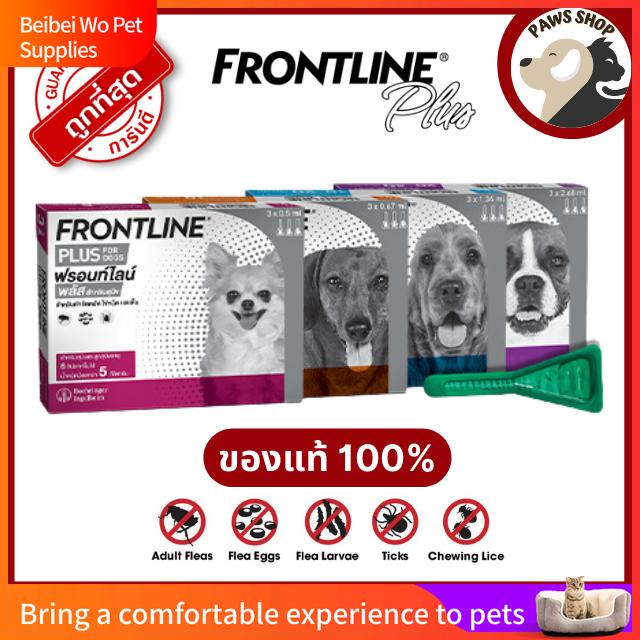 FRONTLINE PLUS แบ่งขาย 1 หลอด ยาหยอดกำจัดเห็บ หมัด สุนัขและแมว แบ่งขาย 1 หลอด - วงศ์วาน2 - ThaiPick