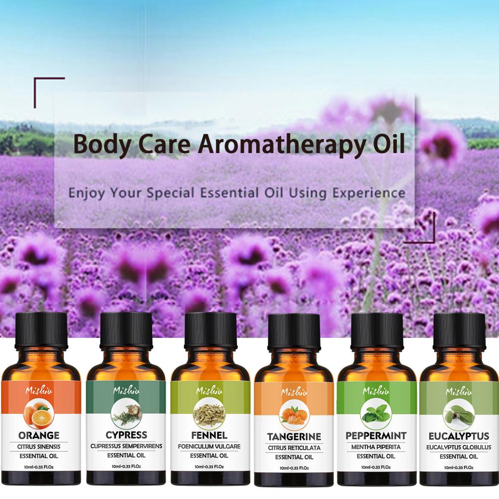 Essential Plants Extract Natural Ingredients Refreshing Eucalyptus ...