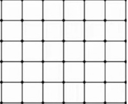 💥Ready Stock💥Aquarium sticker (GRID/PETAK) | Lazada