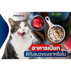 #Monchou อาหารเปียก-แมว 70g. | Lazada.co.th