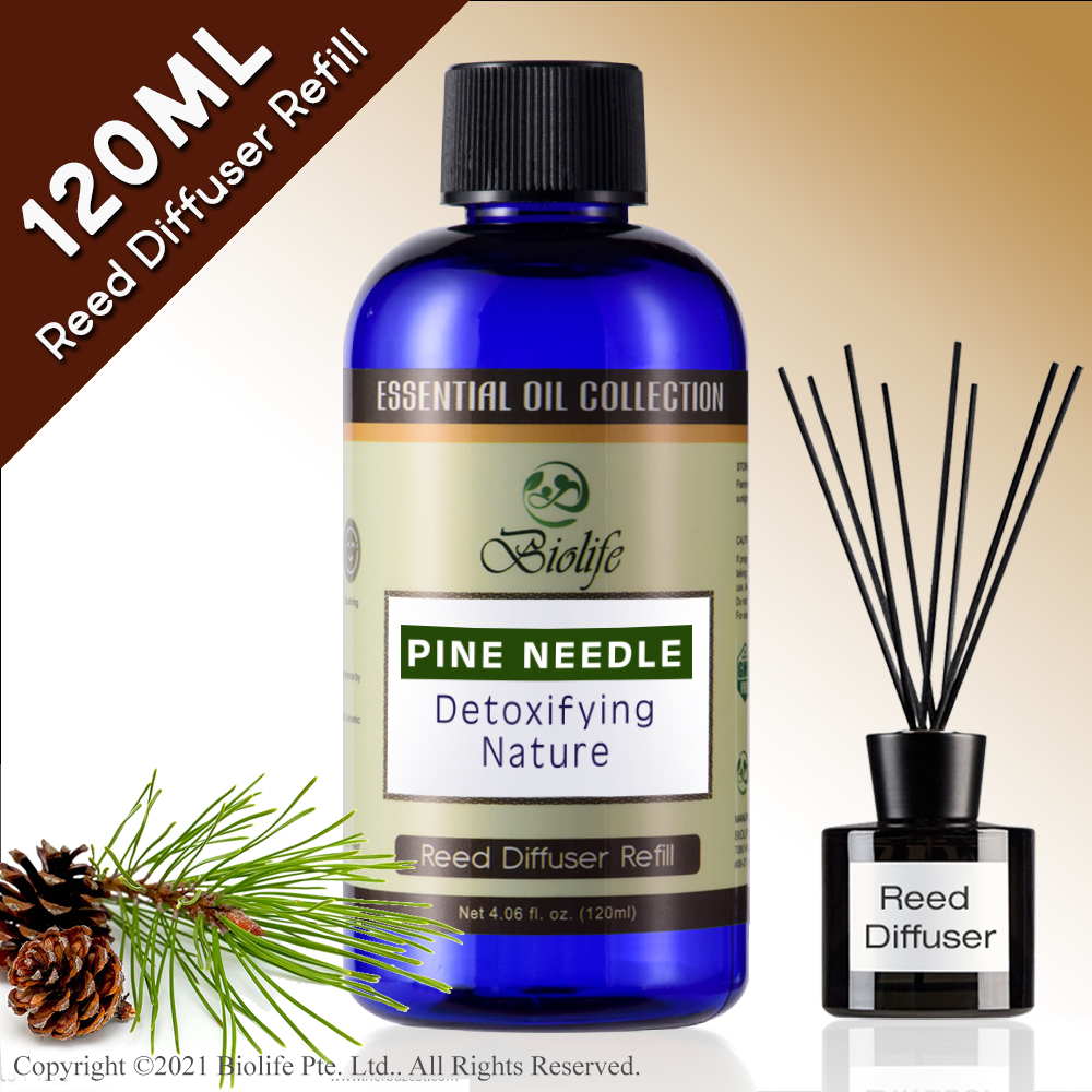 Biolife Pine Needle Essential Oil Aromatherapy Reed Diffuser Refill, Long Lasting Scent (120ml ...