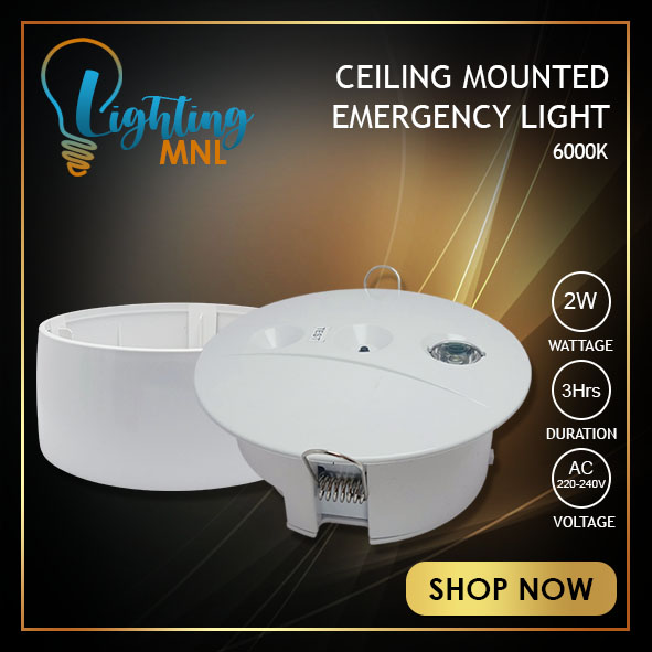 Lightingmnl Ceiling Mounted Emergency Light Emergency Lamp Brown Out ...