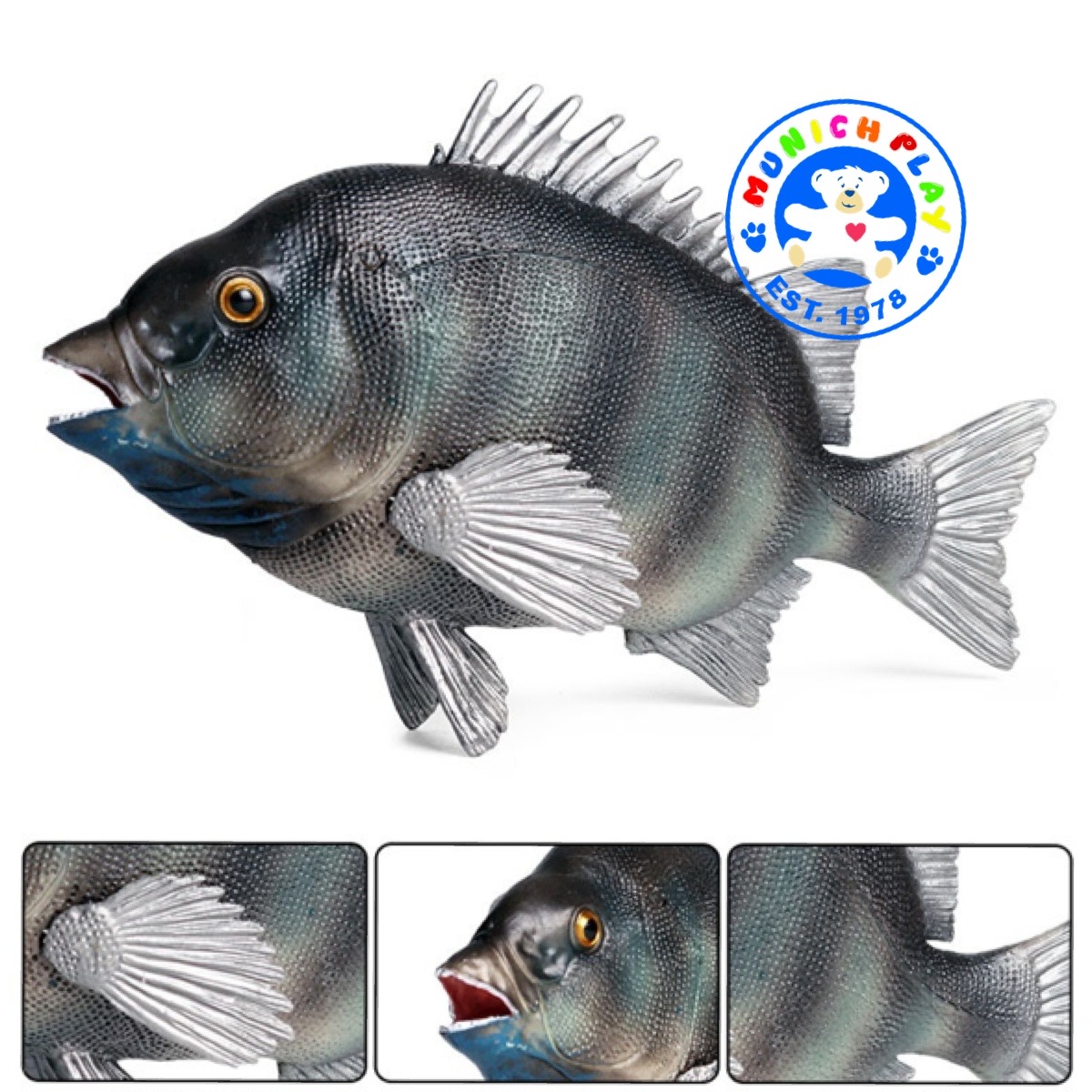 Munich Play - ปลากระพงหิน Snapper Fish ขนาด 17.00 CM (จากหาดใหญ่ ...