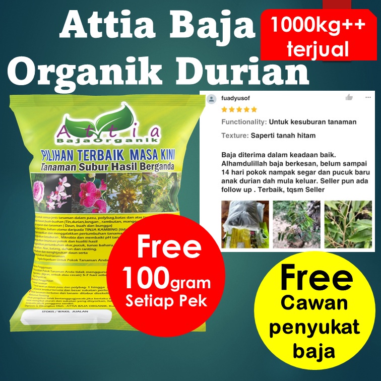 Attia Baja Organik Pokok Durian Udang Merah Duri Hitam Durian Belanda ...