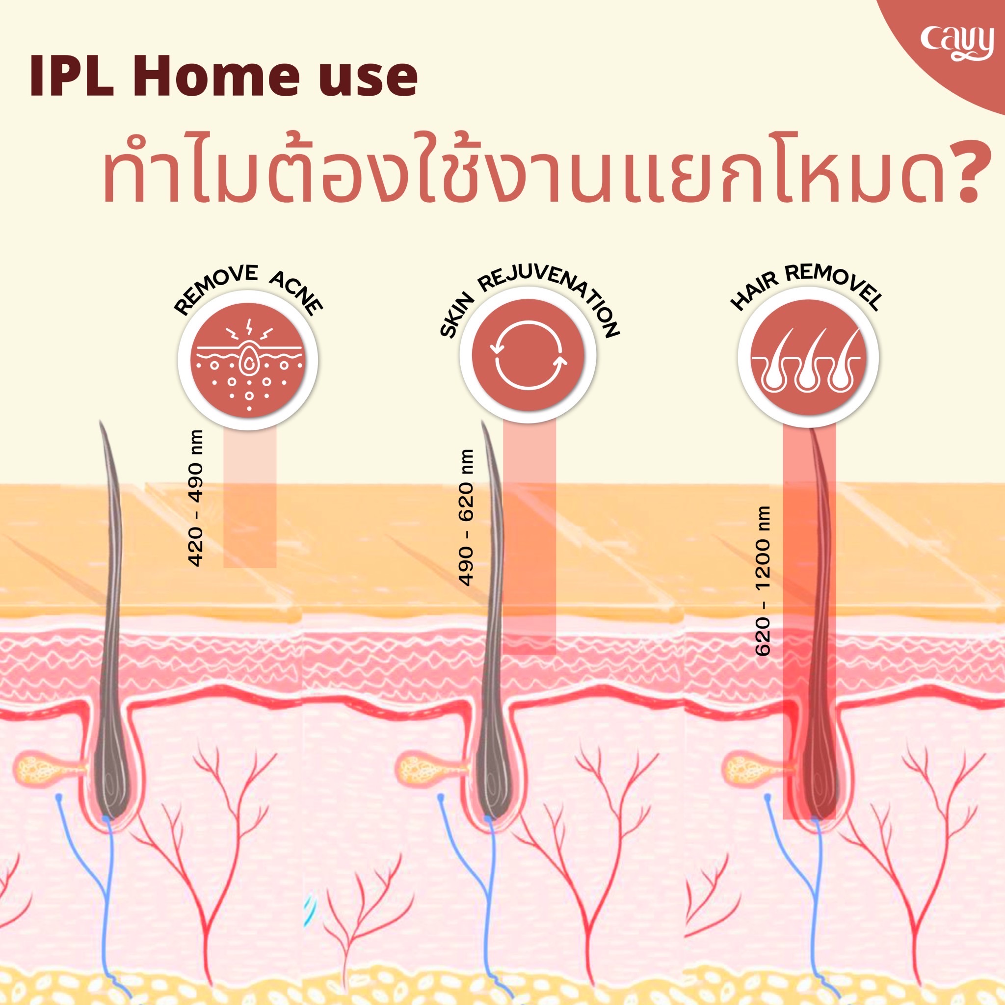 เลเซอร์กำจัดขน CAVY PLUS IPL 3in1 + โหมดเย็น มีรับประกัน 1 ปี (ผ่อนได้ ...