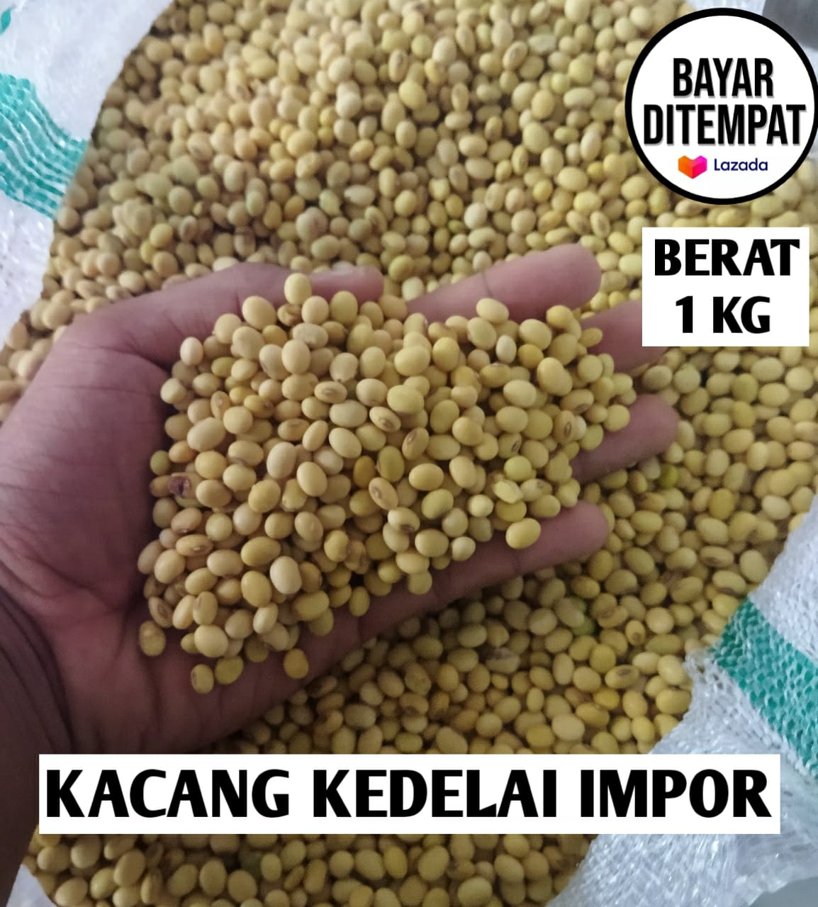 KACANG KEDELAI SUPER BERAT 1 KG/KACANG KEDELAI KUALITAS SUPER | Lazada ...
